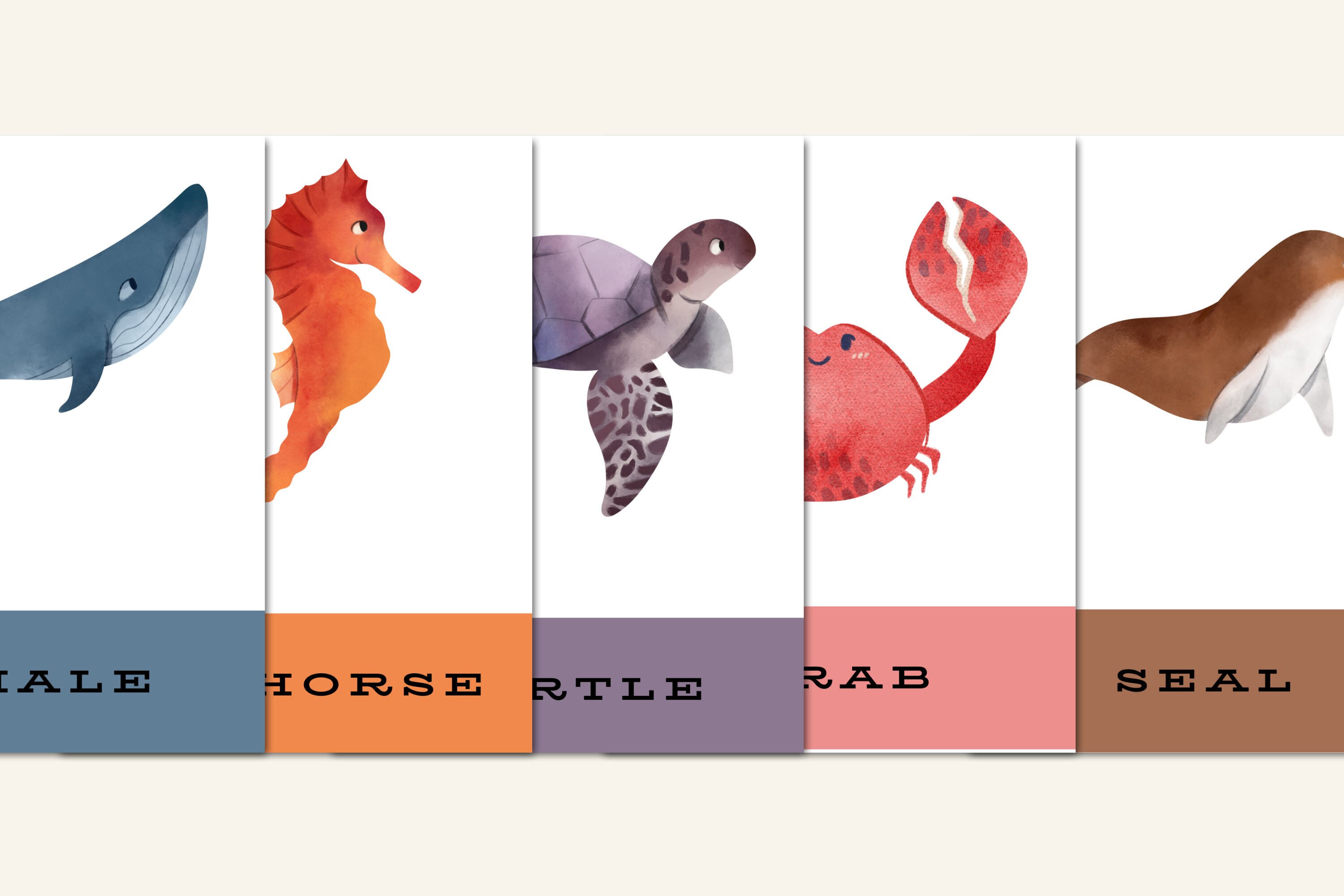 13 Ocean Animals Flash Cards, Sea Animals, Set of 13, Educational ...