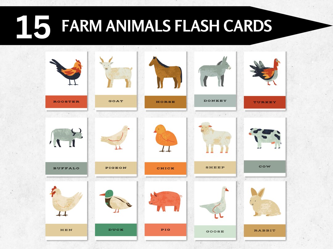 Farm Animals Flash Cards, Set of 15, Educational Flash Cards, Preschool ...