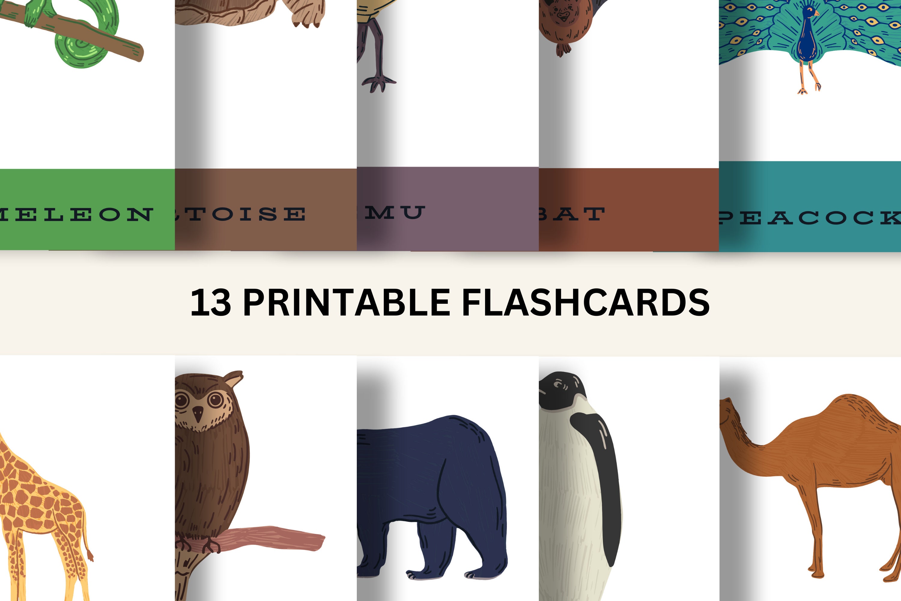 20 Safari Animals Flash Cards, Forest Animals, Preschool Learning ...