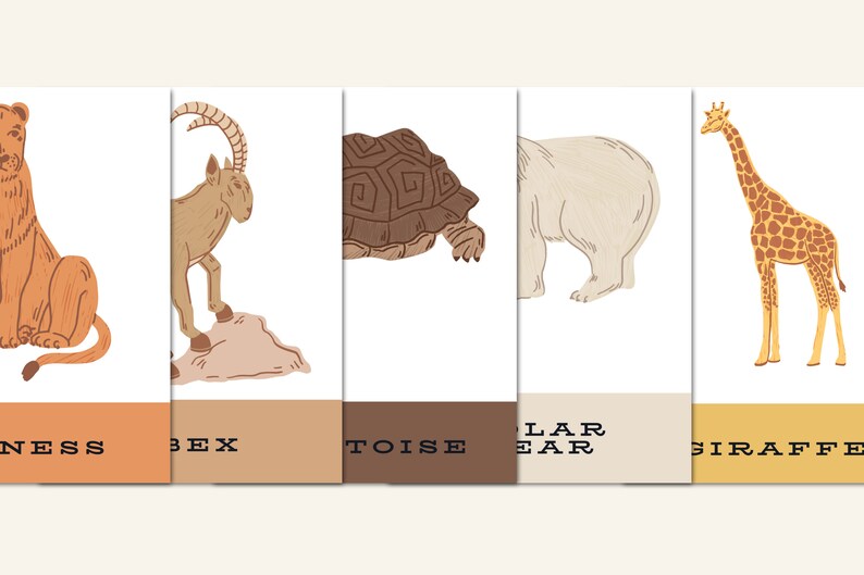 20 Safari Animals Flash Cards, Forest Animals, Preschool Learning ...