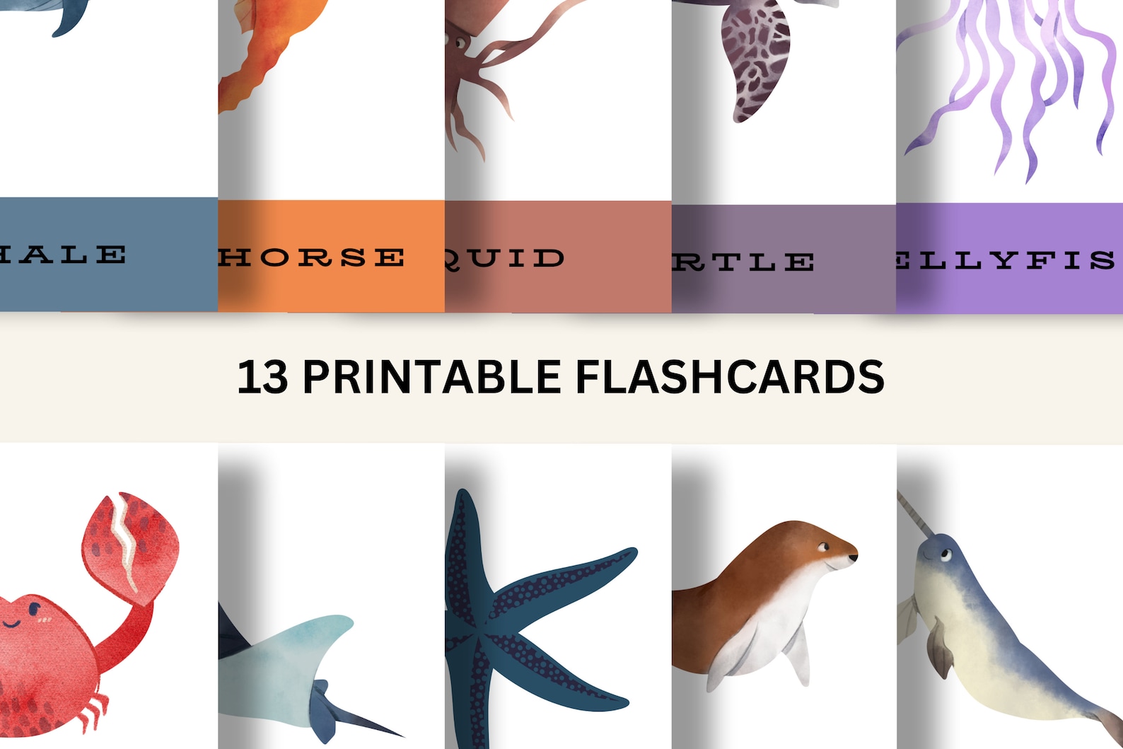 13 Ocean Animals Flash Cards, Sea Animals, Set of 13, Educational ...