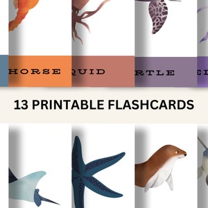 13 Ocean Animals Flash Cards, Sea Animals, Set of 13, Educational ...