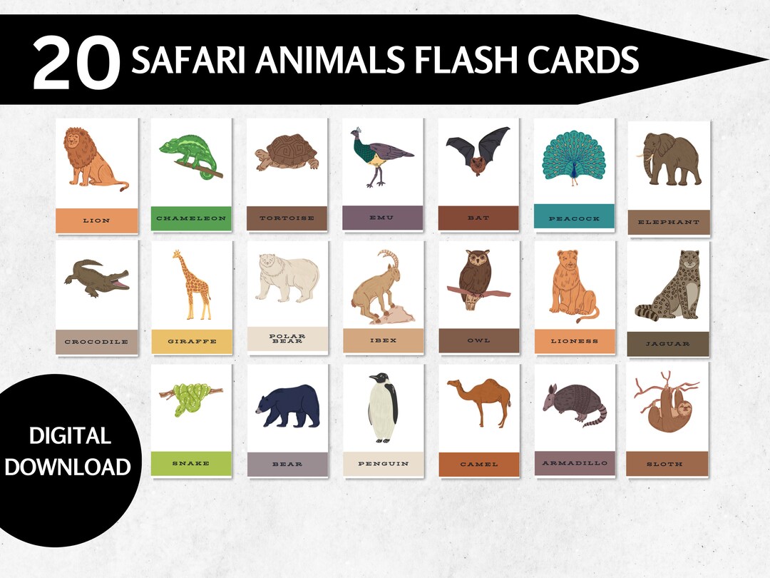 20 Safari Animals Flash Cards, Forest Animals, Preschool Learning ...