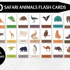 20 Safari Animals Flash Cards, Forest Animals, Preschool Learning ...