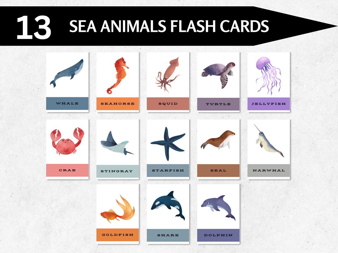 13 Ocean Animals Flash Cards, Sea Animals, Set of 13, Educational ...