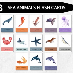 13 Ocean Animals Flash Cards, Sea Animals, Set of 13, Educational ...