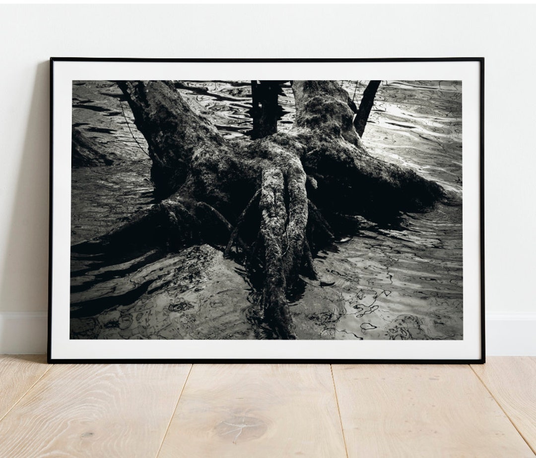 Fine Art Photography Print. Tree in Flood Water - Etsy
