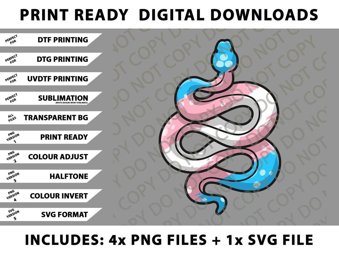 Transgender Pride Stuff Trans Flag Snake Reptile Lover Png Bundle, SVG ...