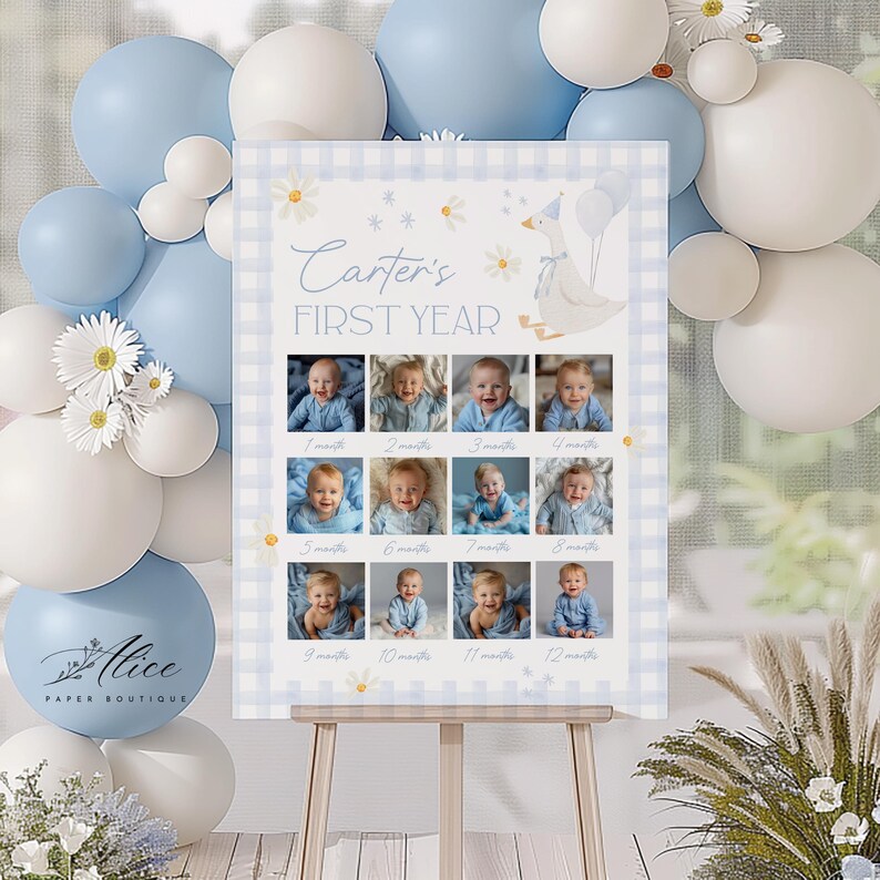 Silly Goose 12 Month Photo Milestone Sign, First Birthday Poster ...