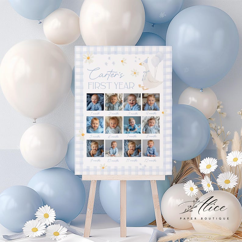 Silly Goose 12 Month Photo Milestone Sign, First Birthday Poster ...
