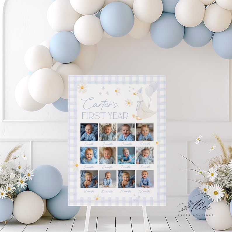 Silly Goose 12 Month Photo Milestone Sign, First Birthday Poster ...