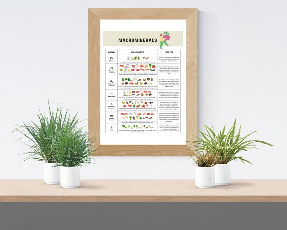 Macrominerals Reference Chart | Printable Digital Nutrition Guide ...