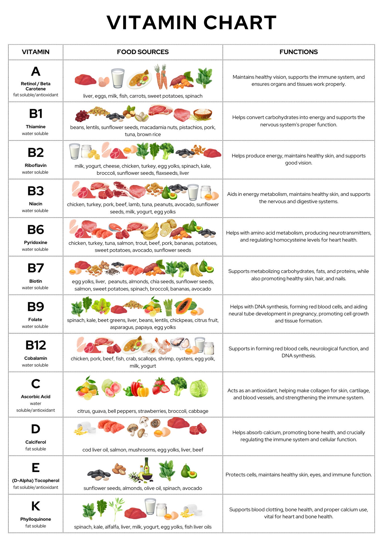 Vitamin & Mineral Reference Guide Bundle Printable Nutrition Charts ...