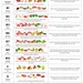 Vitamin & Mineral Reference Guide Bundle Printable Nutrition Charts ...