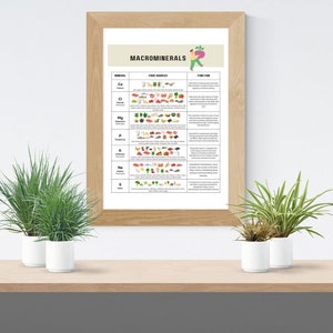 Vitamin & Mineral Reference Guide Bundle Printable Nutrition Charts ...