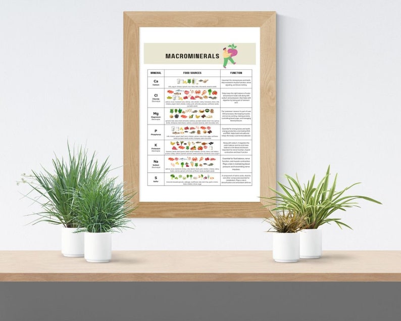 Vitamin & Mineral Reference Guide Bundle Printable Nutrition Charts ...