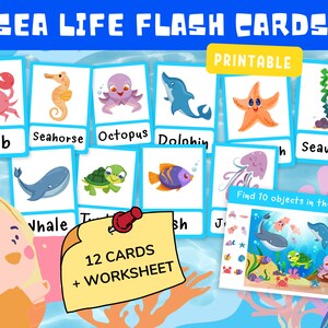 Explore the Ocean: 12 Sea Life Flashcards Worksheet Set, Instant ...