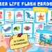 Explore the Ocean: 12 Sea Life Flashcards Worksheet Set, Instant ...