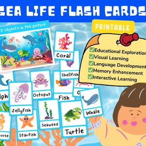 Explore the Ocean: 12 Sea Life Flashcards Worksheet Set, Instant ...