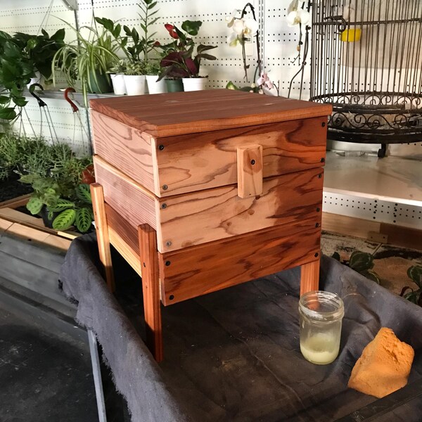 Wood Worm Bin - Etsy