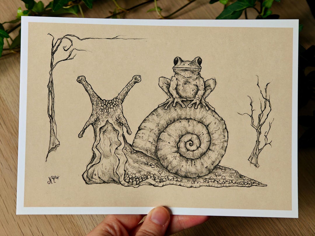 Art Print - Snail and Toad Cute, Marginalia Artwork Funny, Medieval ...