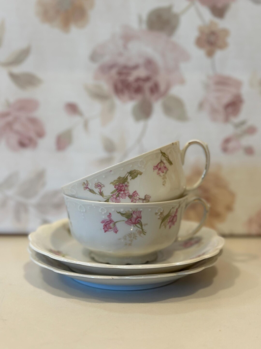 Antique MZ Austria Habsburg BT Fine Porcelain Teacup and Saucer ~ 2 ...