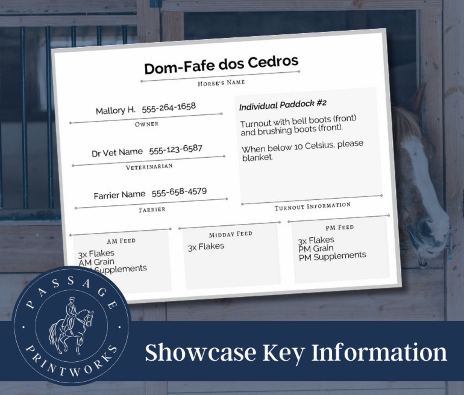 Fillable Ready-to-print Horse Stall Information Card PDF - Etsy