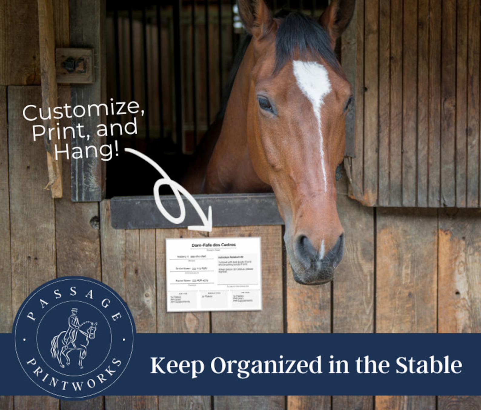 Fillable Ready-to-print Horse Stall Information Card PDF - Etsy