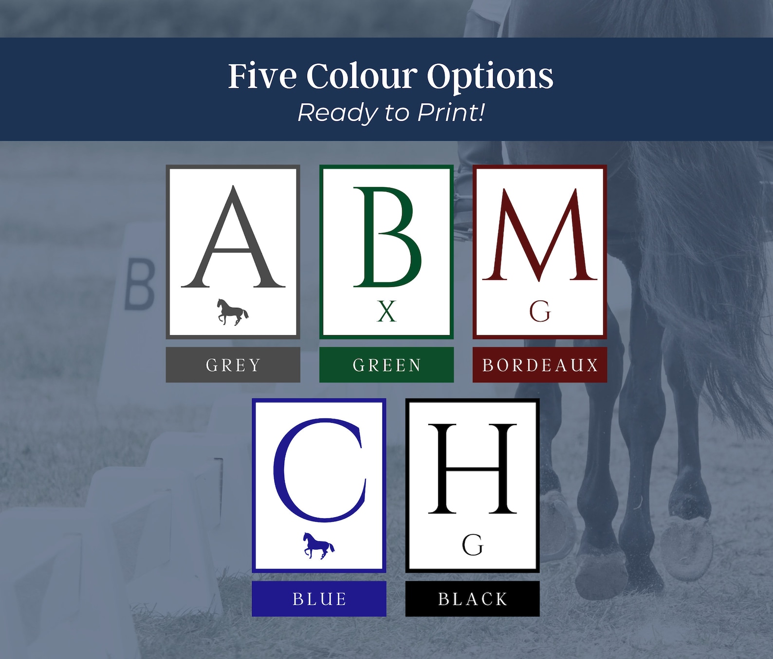 Elegant Printable Dressage Arena Letters - Ready to Print - 20x40 and ...