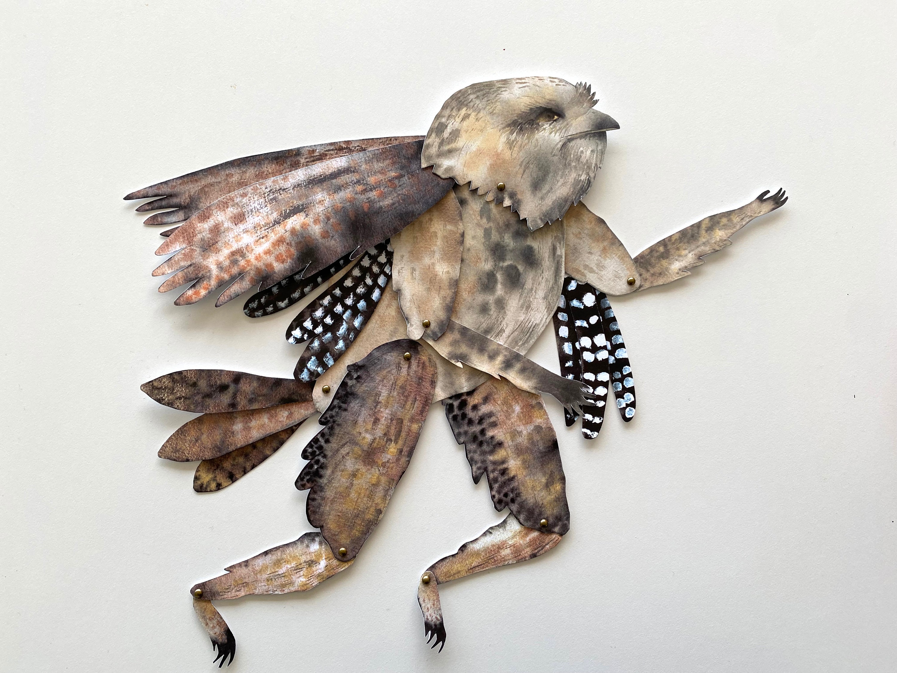 Tawny Frogmouth Articulated Paper Doll / Hinged Beasts Series - Etsy UK