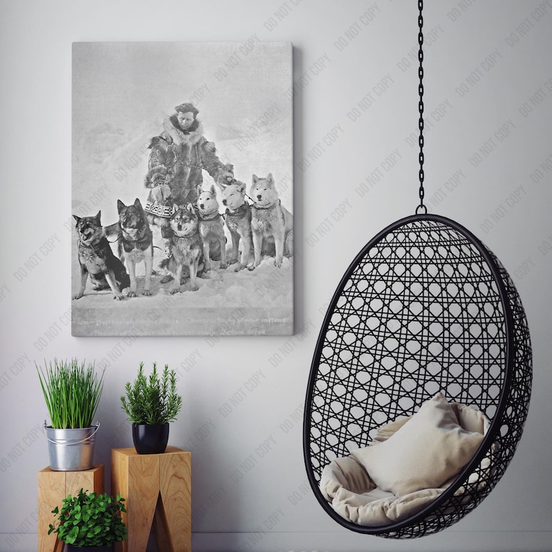 Balto Siberian Husky Dog - Togo Leonhard Seppala With Dogs | Canvas ...