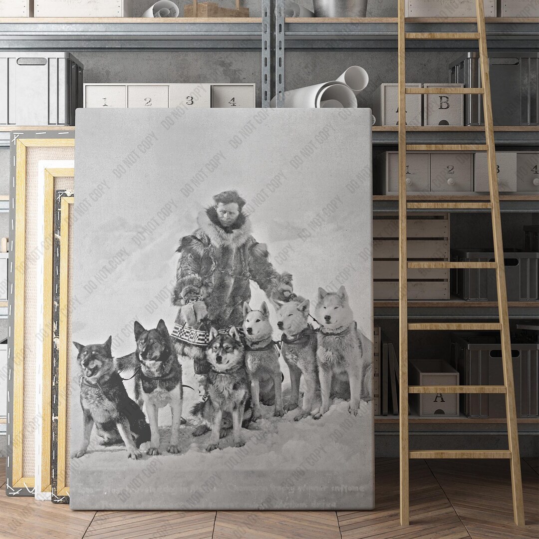 Balto Siberian Husky Dog - Togo Leonhard Seppala With Dogs | Canvas ...