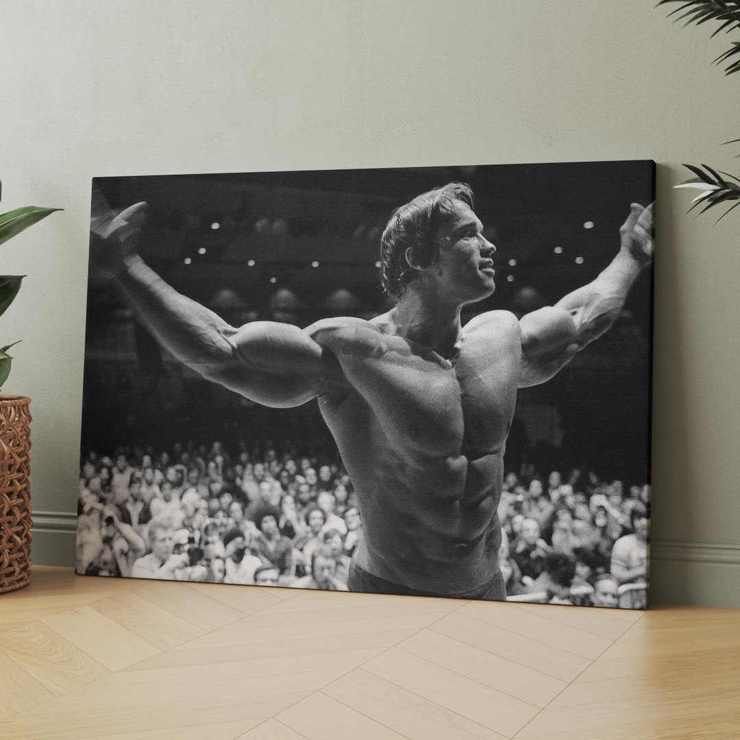 Arnold Schwarzenegger Conquer | Canvas Wall Art | Iconic Posters Prints ...