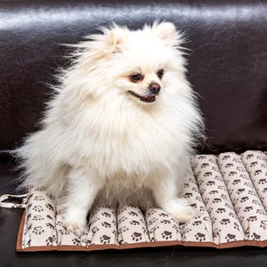 Waterproof Travel Dog Bed: Portable Pet Mat With Handle - Etsy