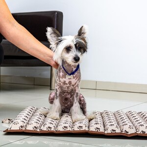 Waterproof Travel Dog Bed: Portable Pet Mat With Handle - Etsy