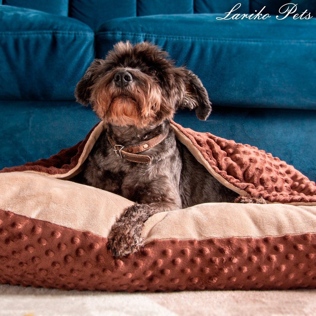 Velour Dog Cave Bed: Snuggly Burrow Pet Pillowcase - Etsy
