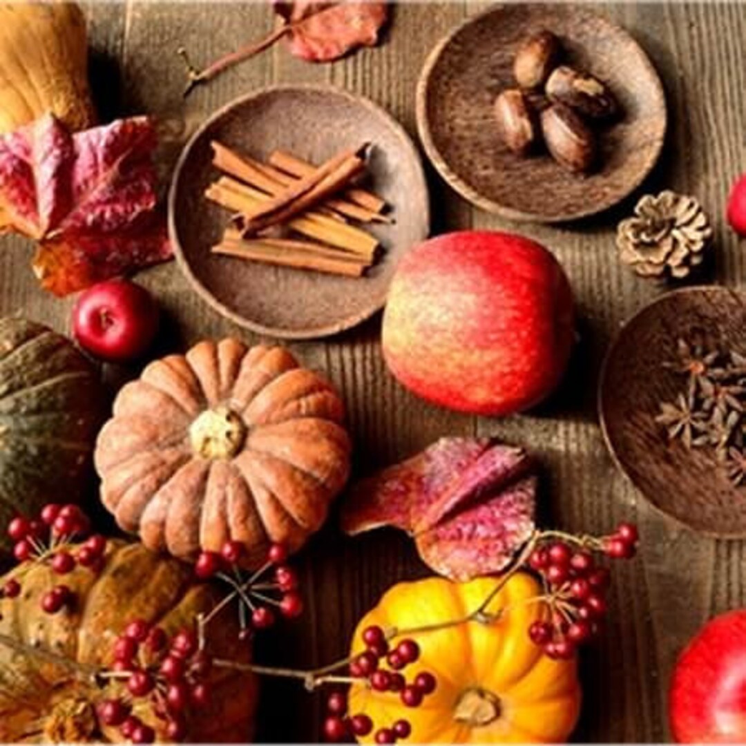 HARVEST SPICE Candle Fragrance Oil/scent 1oz - Etsy