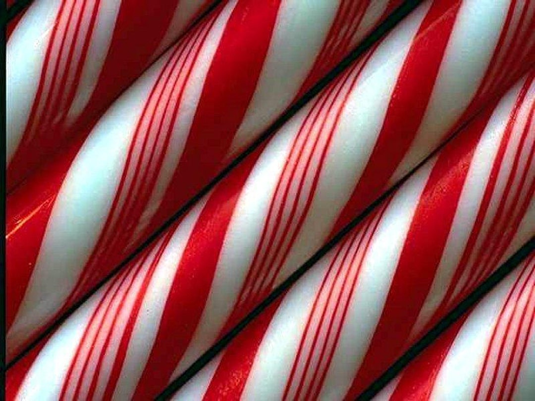 CANDY CANE - 4oz Fragrance Oil Candle Scent - Etsy