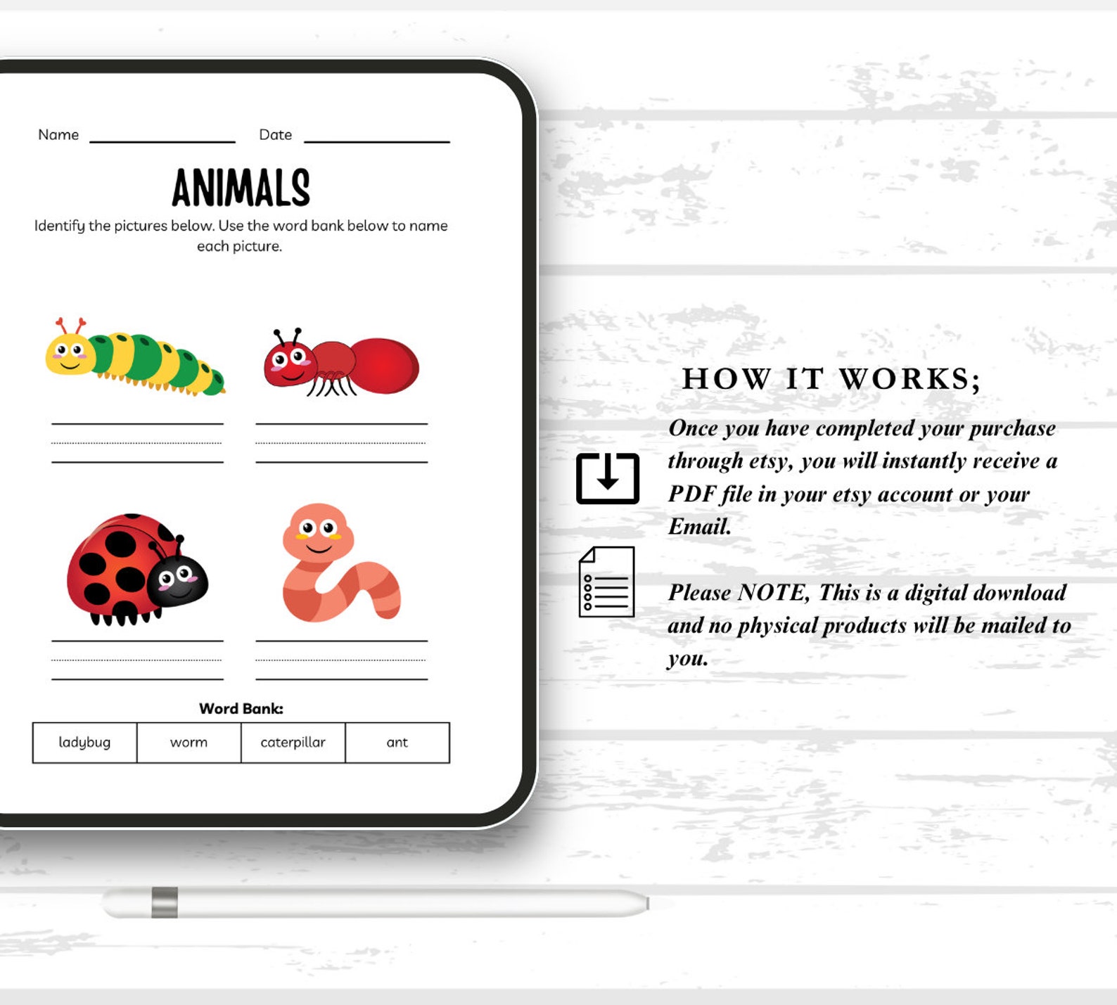 Animals Workbook for Kids, Educational Learning Activity Book, Children ...