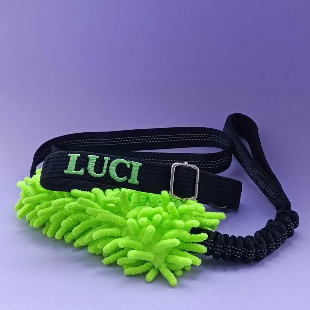 Embroidered Agility Leash With Mop and Bungee for Dog, Personalized ...