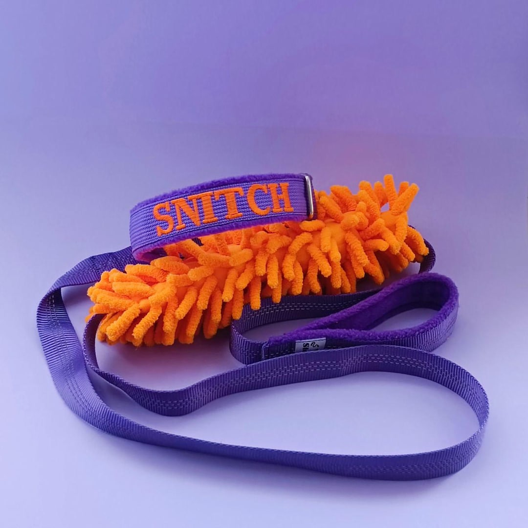 Tug Leash With Name for Dog, Personalized Agility Lead - Etsy