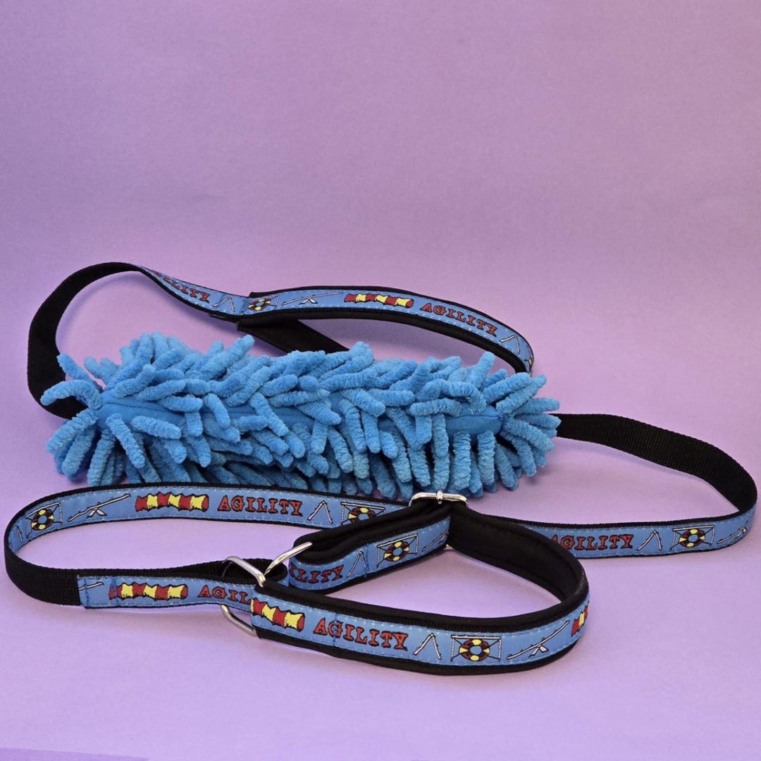 Dog Agility Leash With Martingale Collar and Mop - Etsy