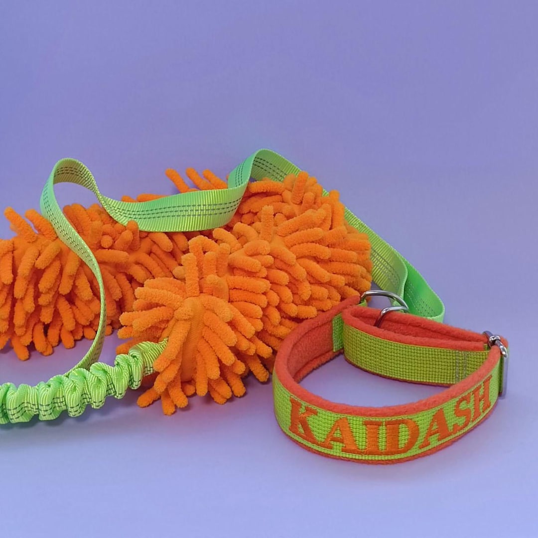 Agility Leash With Dog Name, Personalized Competition Lead With Mop and ...