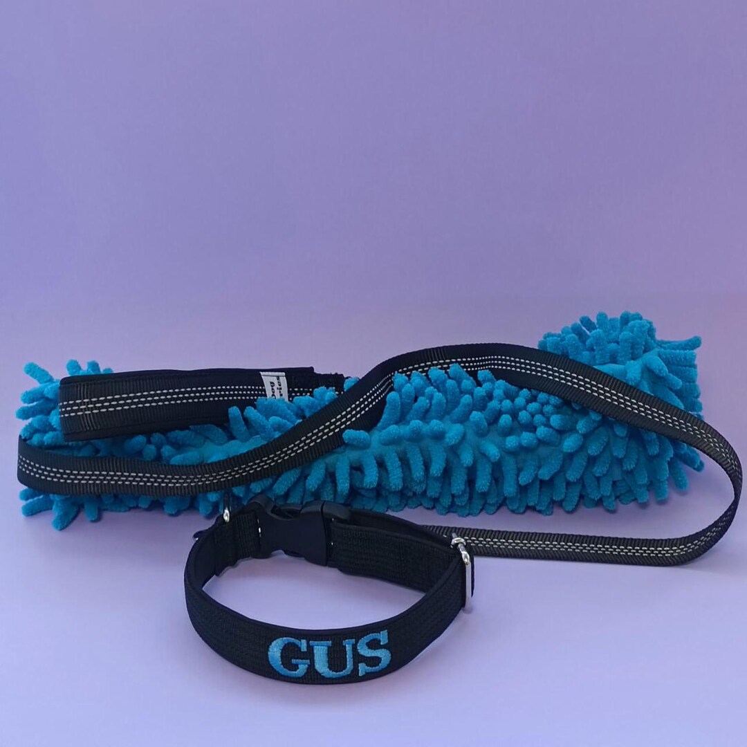 Personalized Dog Collar Leash Set – Embroidered Name, Bungee, Mop Toy ...