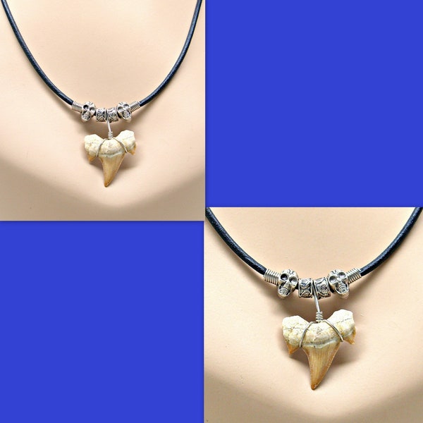 Custom Shark Tooth Necklace - Etsy