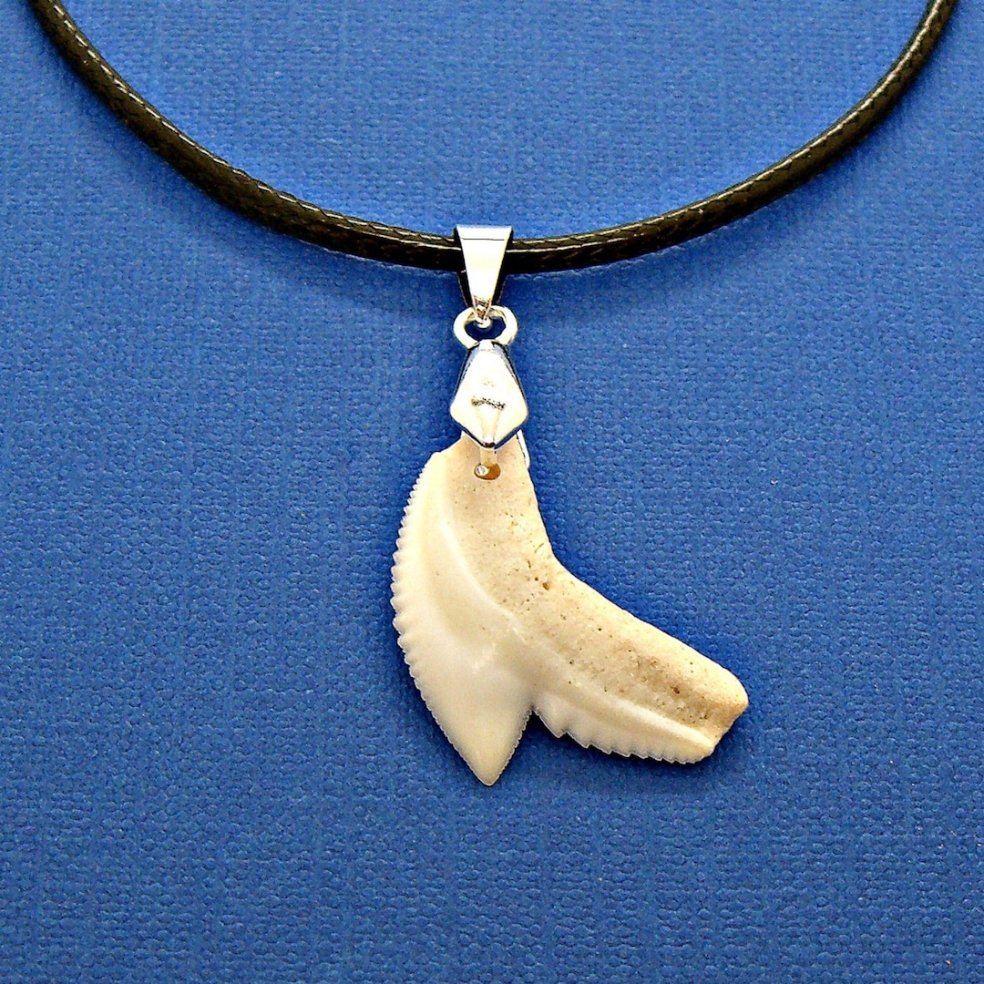 LG Shark Tooth Adjustable Slide Necklace Upper Jaw Tooth Pendant on a ...