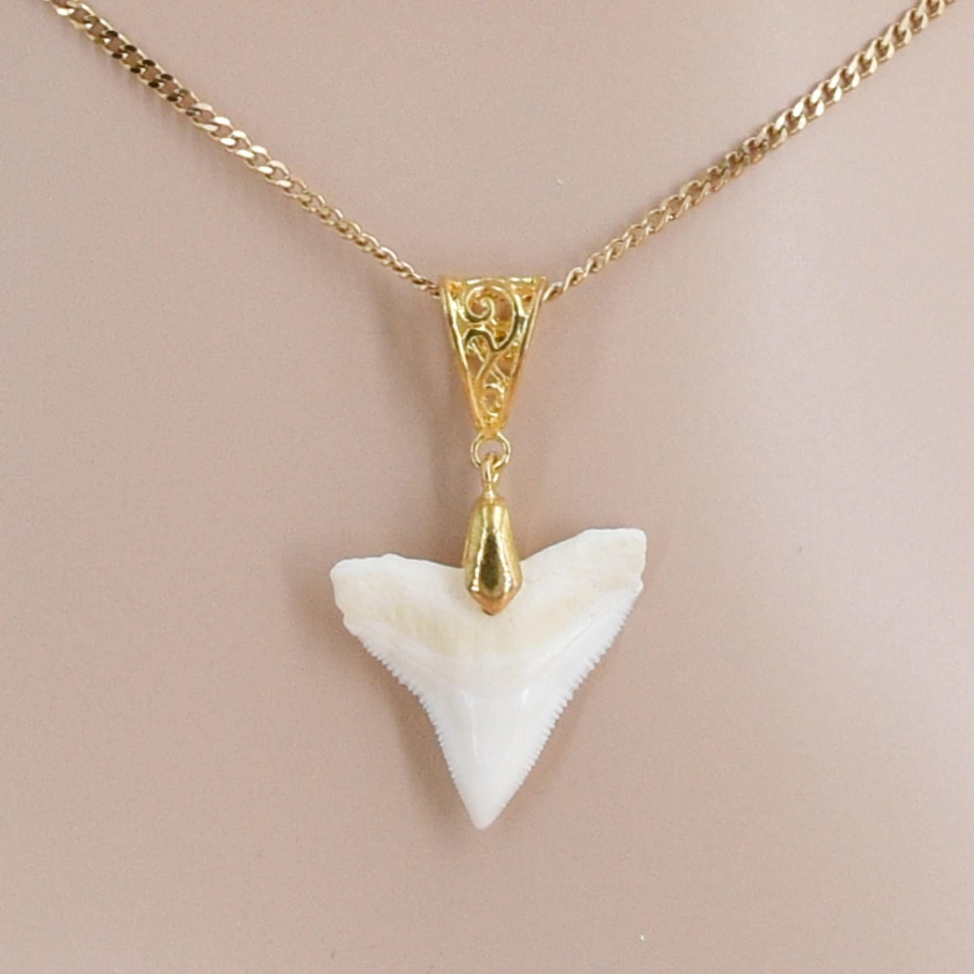Bull Shark Tooth Necklace
