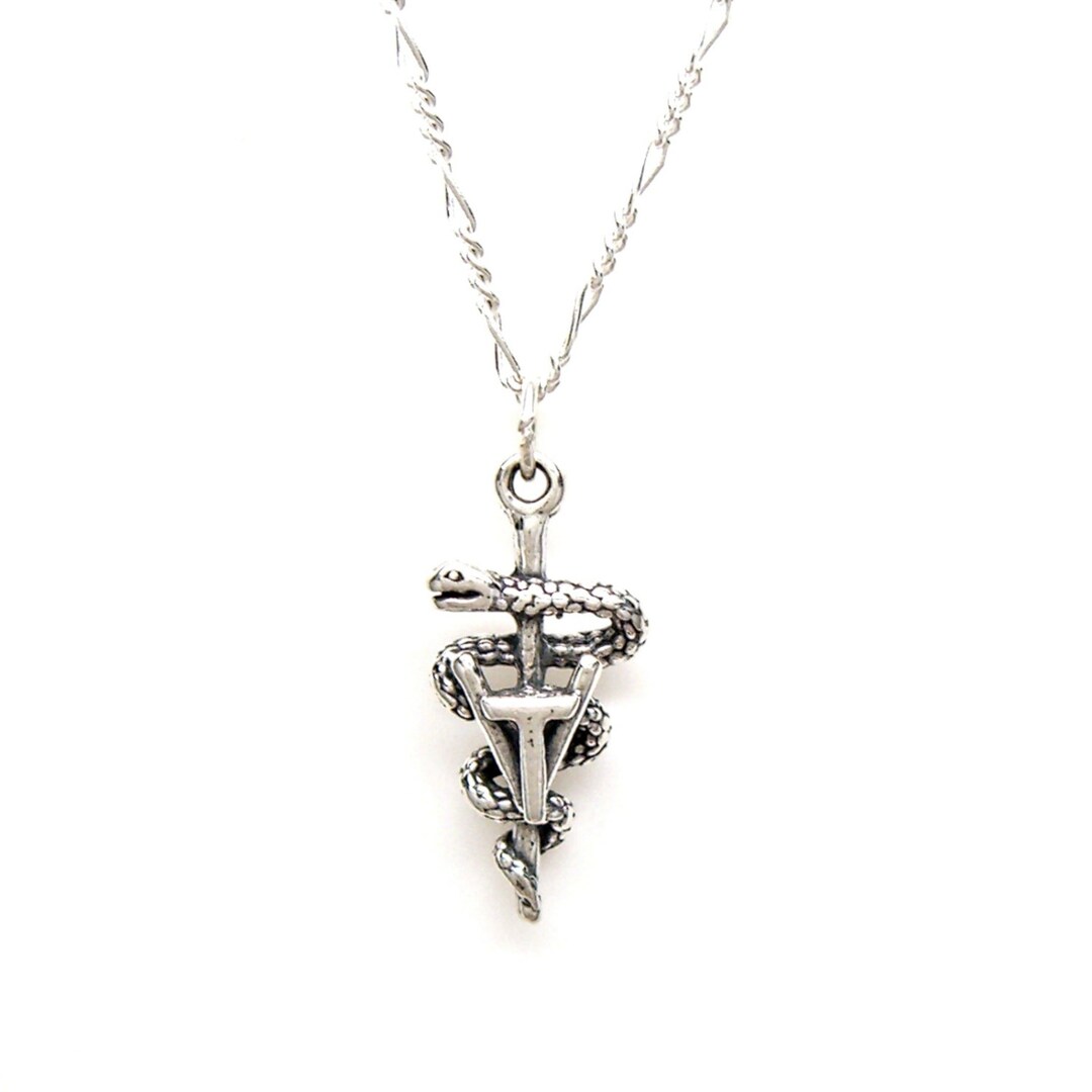 Vet Tech Sterling Silver Caduceus Symbol 3 Dimensional Veterinarian ...