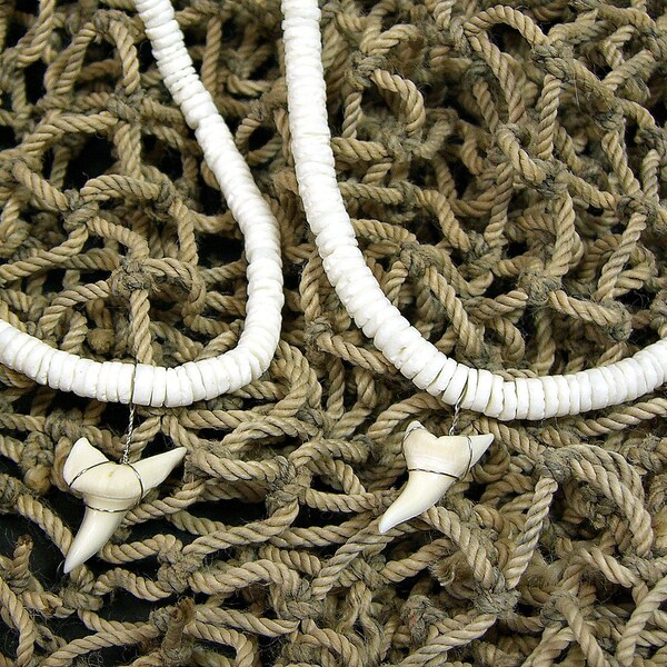 Shark Tooth Necklace - Etsy