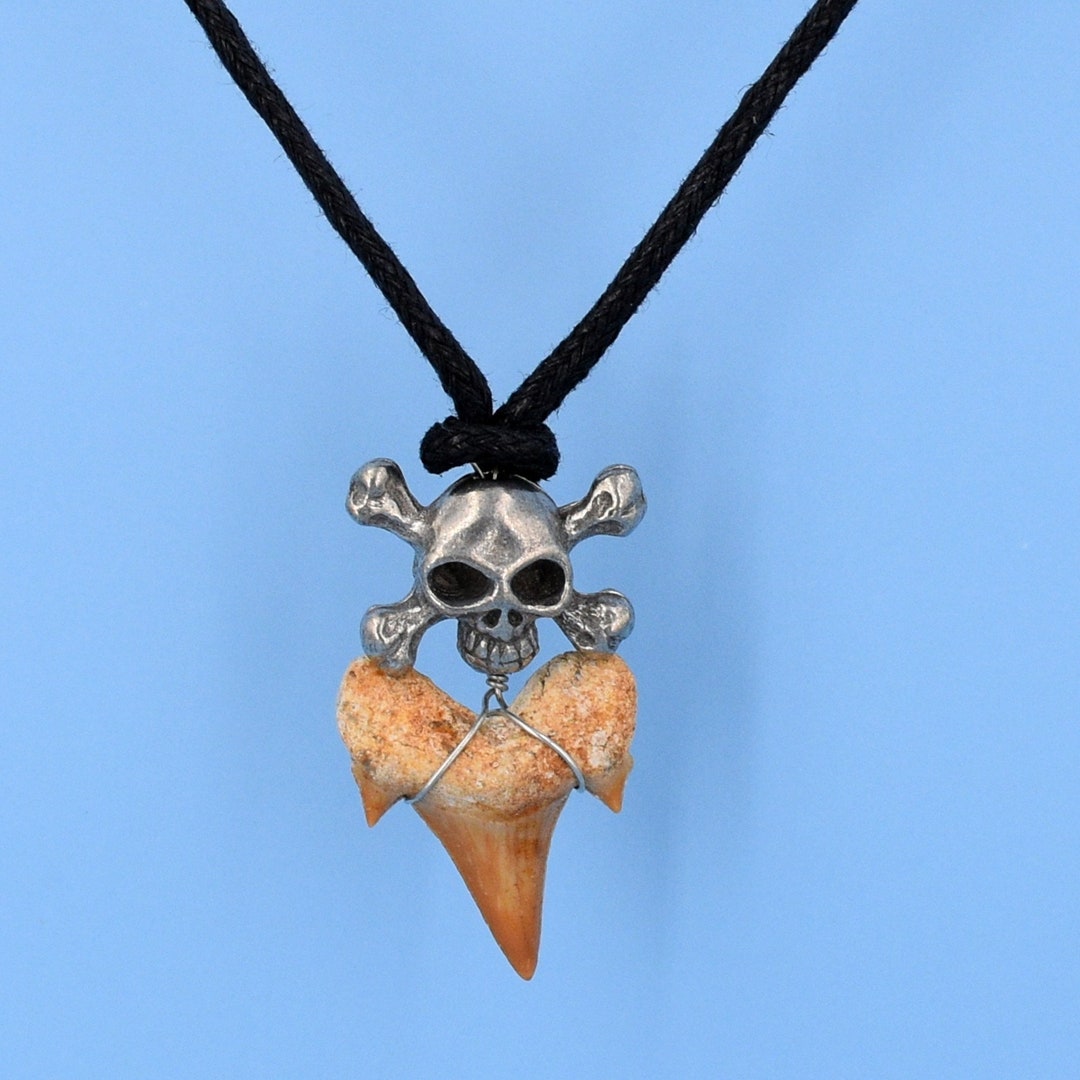 Fossil Shark Tooth Adjustable Necklace With Skull and Crossbones Pewter ...
